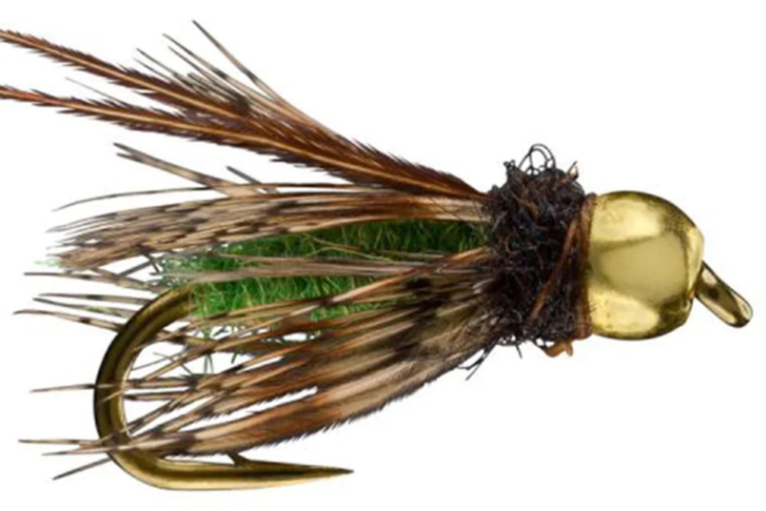 Hungarian Caddis Pupa | Fish Tales Outfitters & Guide Service